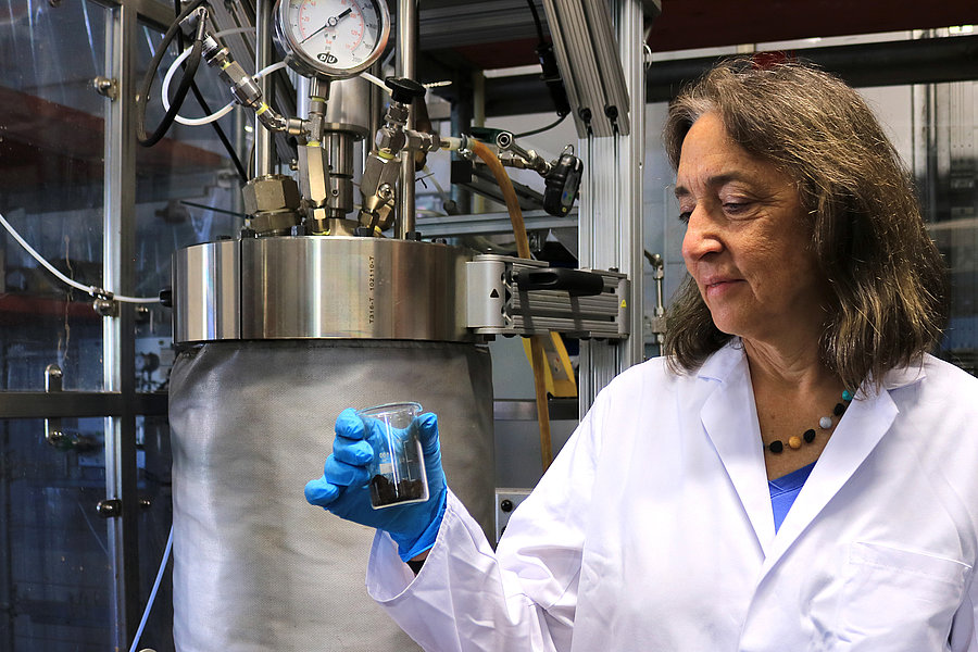 ATB: Biochar Energy as source, peat substitute and soil additive - An ...