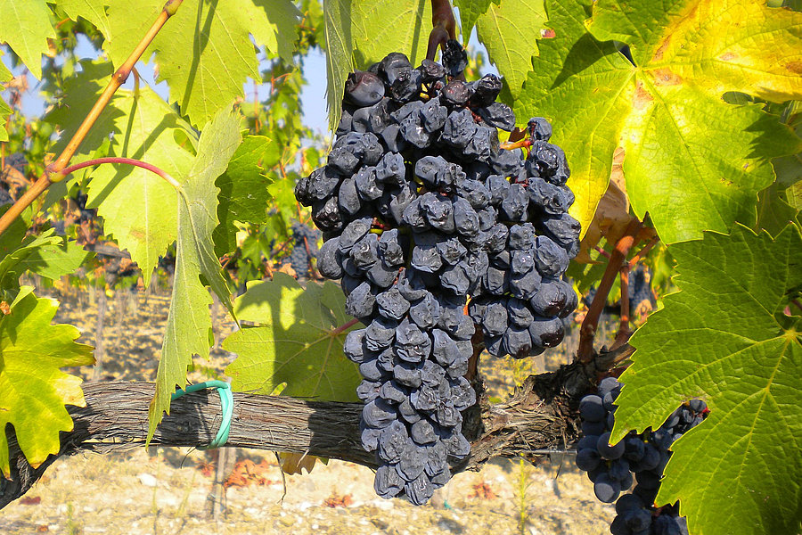 ATB: Feb 18, 2021: Kick-Off Meeting (online) of the ICT AGRI FOOD ...