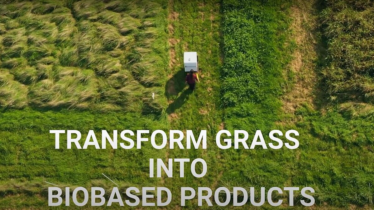 ATB: GO-GRASS auf dem Global Bioeconomy Summit 2020