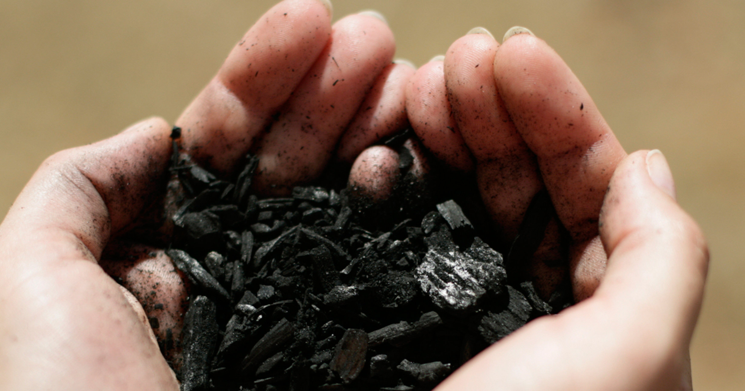 ATB: Biochar Energy as source, peat substitute and soil additive - An ...