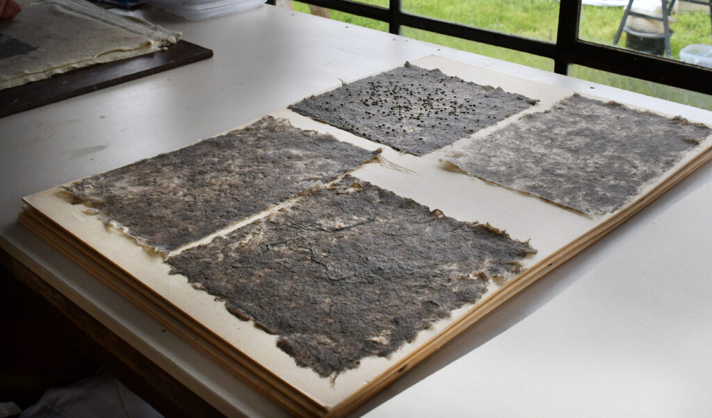 ATB: Hemp – An alternative to the common pulp for paper?